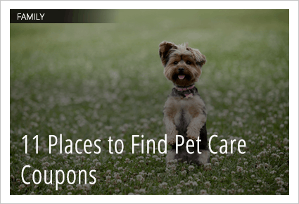 11 Pet Care Loyalty Programs That Will Help You Save - The Krazy Coupon ...