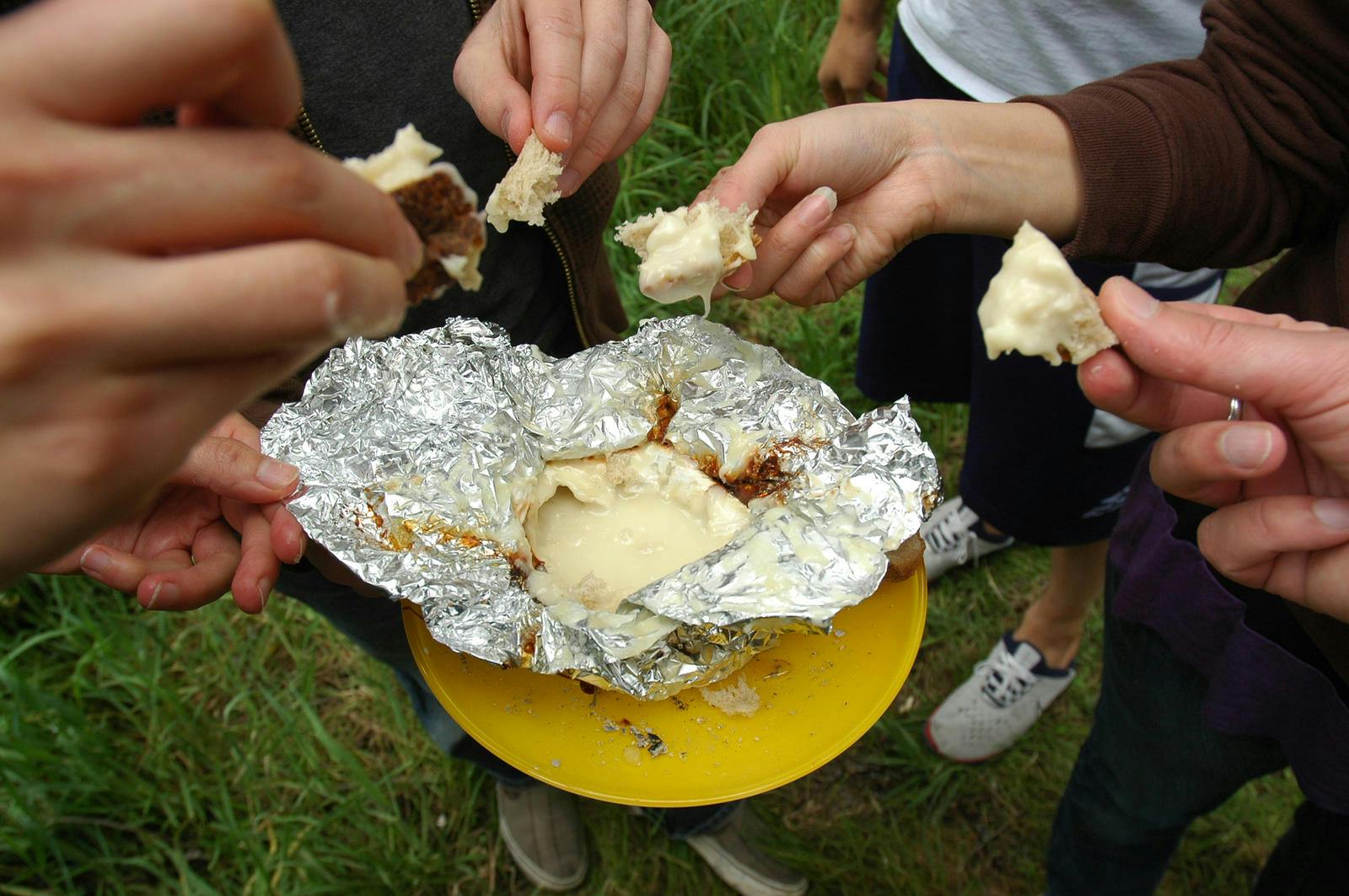 7 Campfire Cooking Hacks That Will Blow Your Mind - The Krazy Coupon Lady