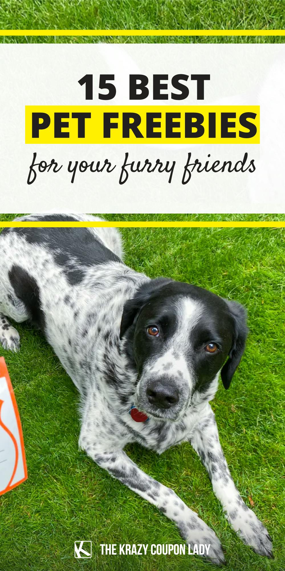 15 Ways to Get Pet Freebies For Your Furry Friends - The Krazy Coupon Lady