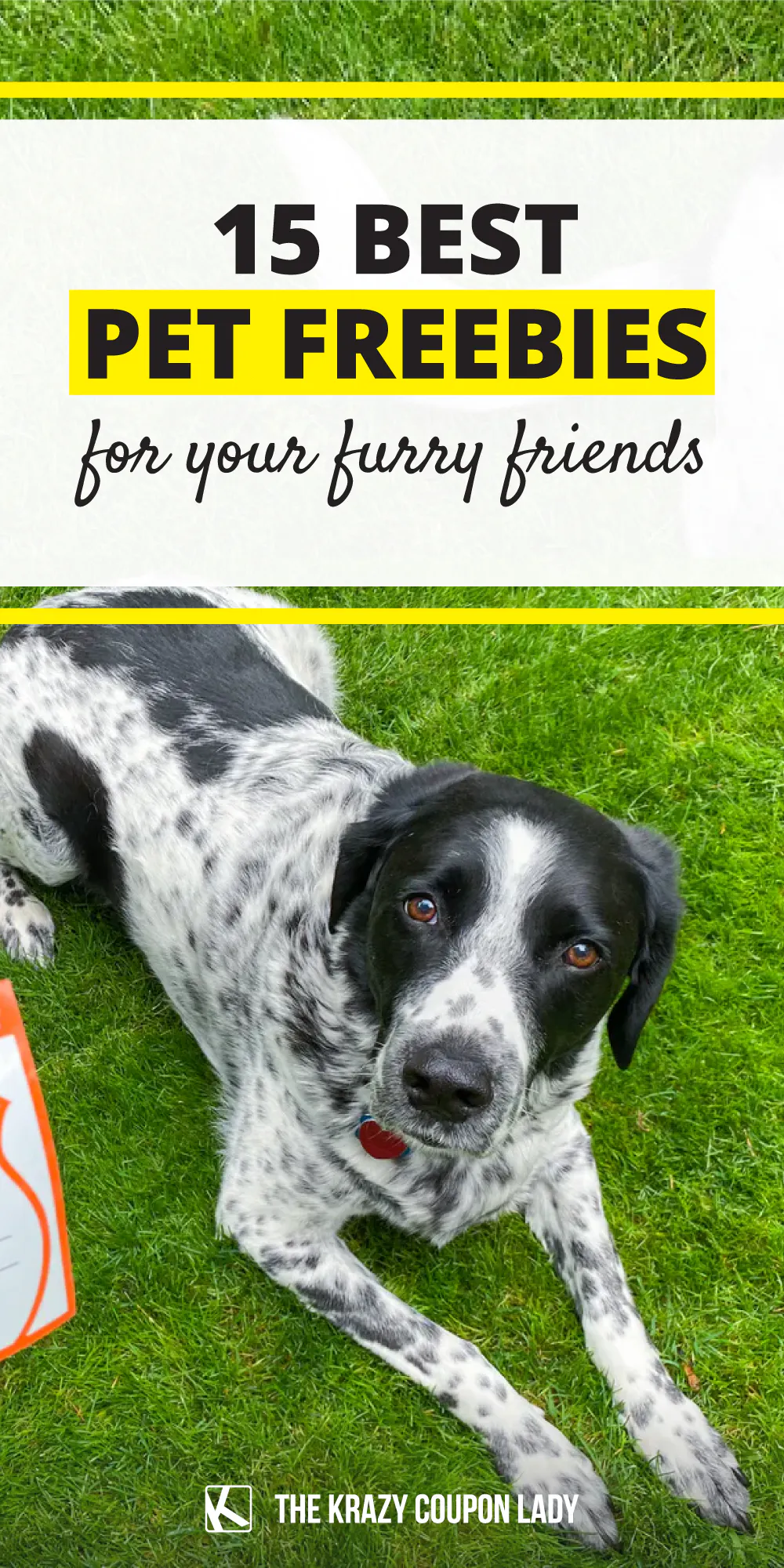 8 Ways to Get Dog Food Free For Your Furry Friend - The Krazy Coupon Lady