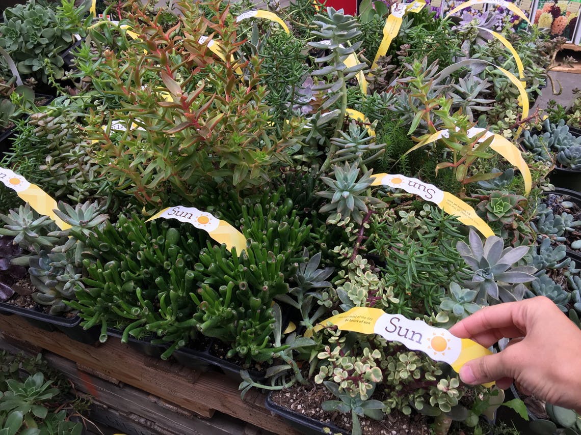 11 Tips to Conquer Home Depot Garden Center Shopping - The Krazy Coupon ...