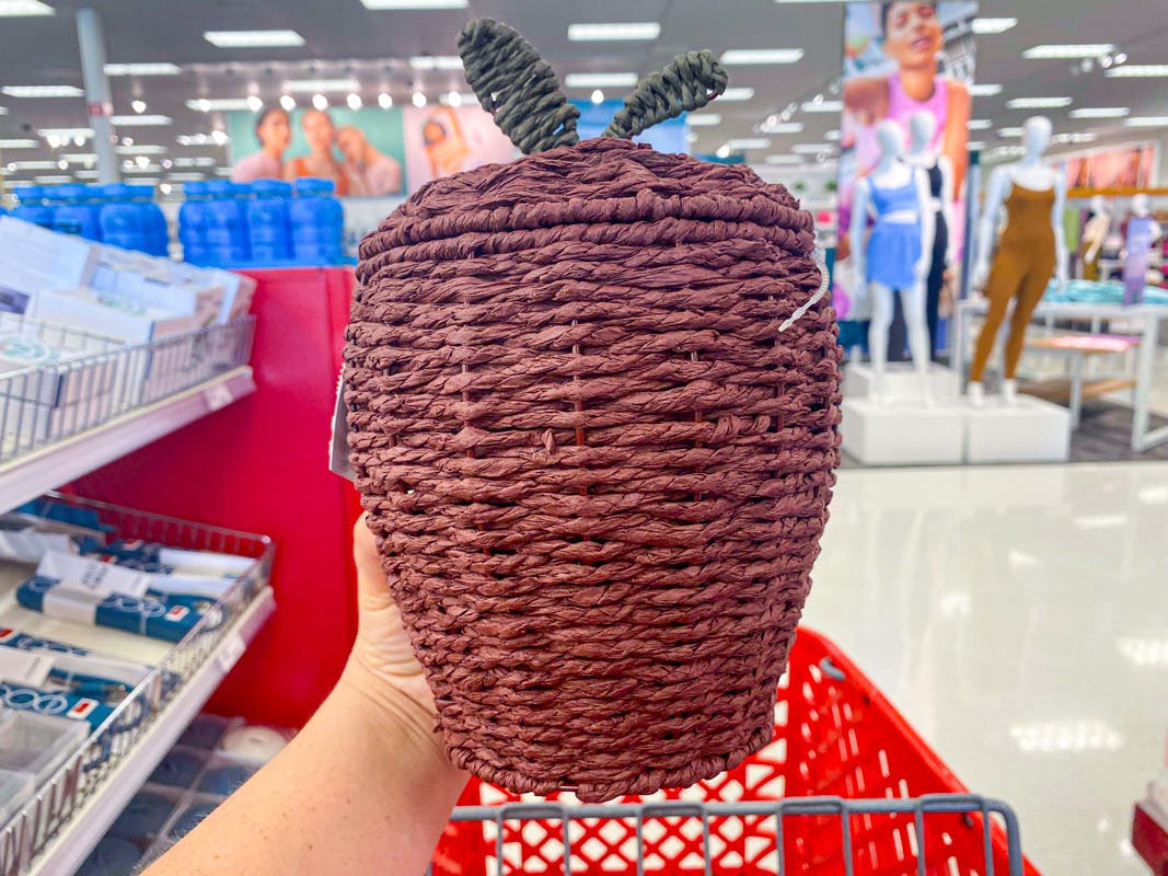 The Coolest Target Dollar Spot Finds in August 2023 - The Krazy Coupon Lady