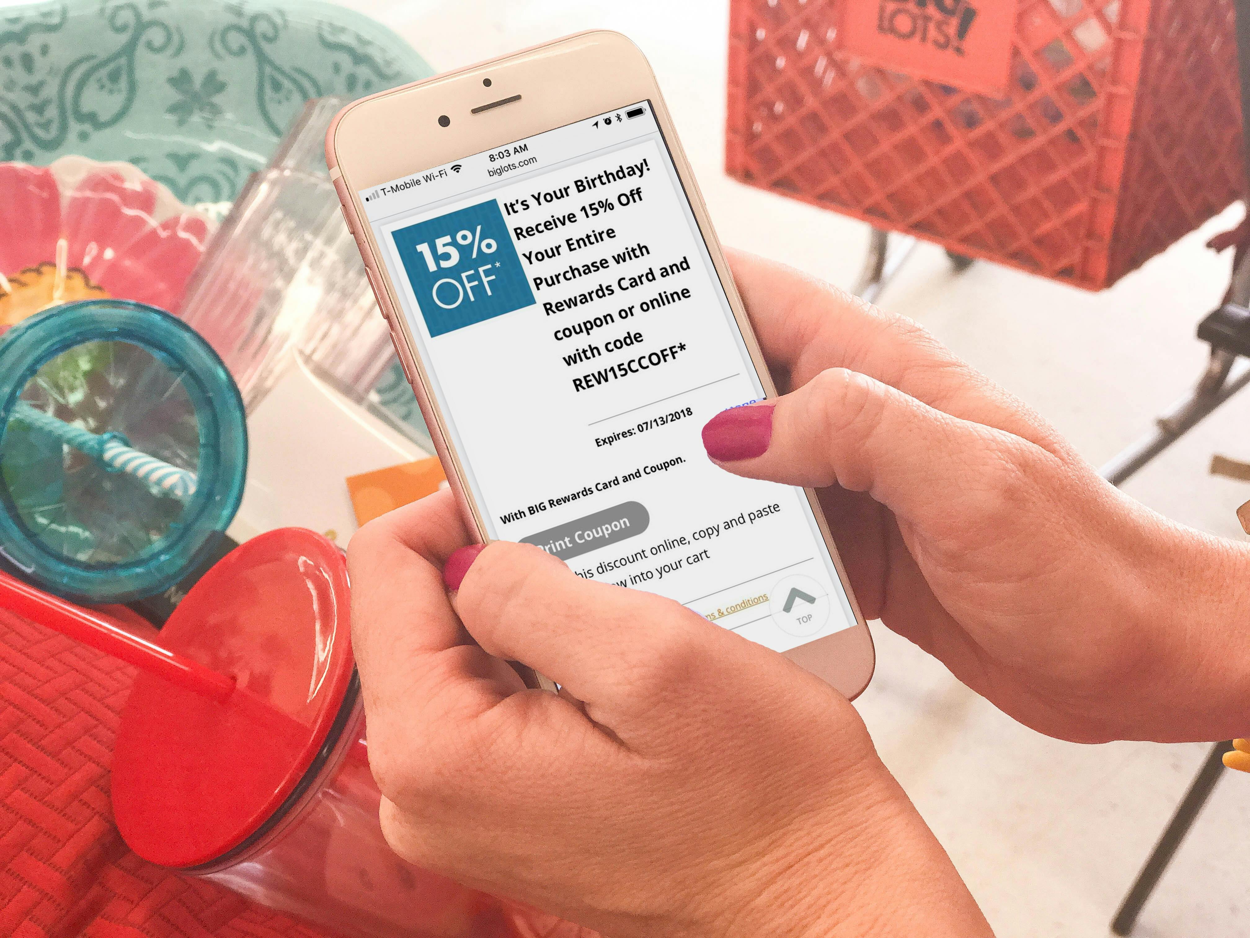 Save Big Bucks at Big Lots with These 12 Tips - The Krazy Coupon Lady