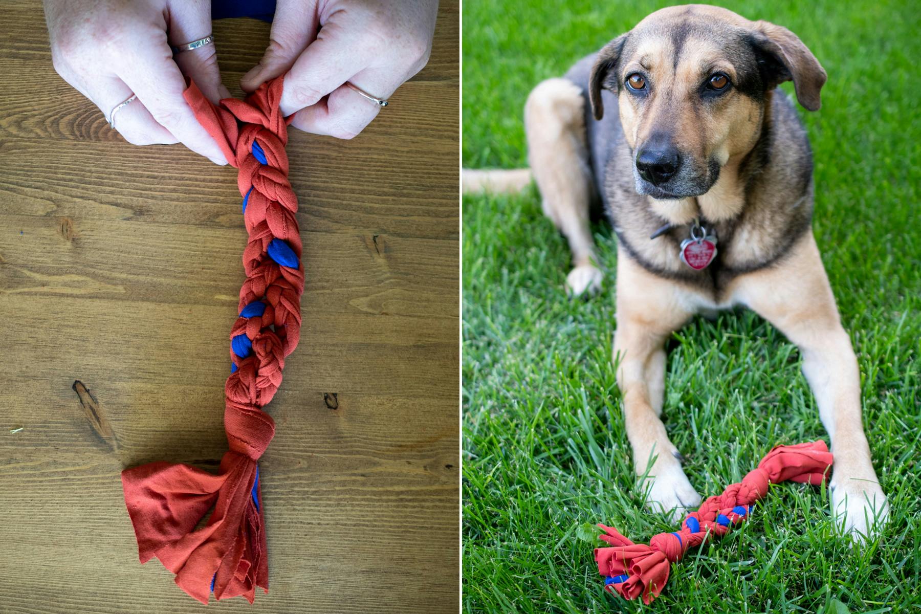 14 Brilliant DIY Dog Hacks That Owners Should Know - The Krazy Coupon Lady