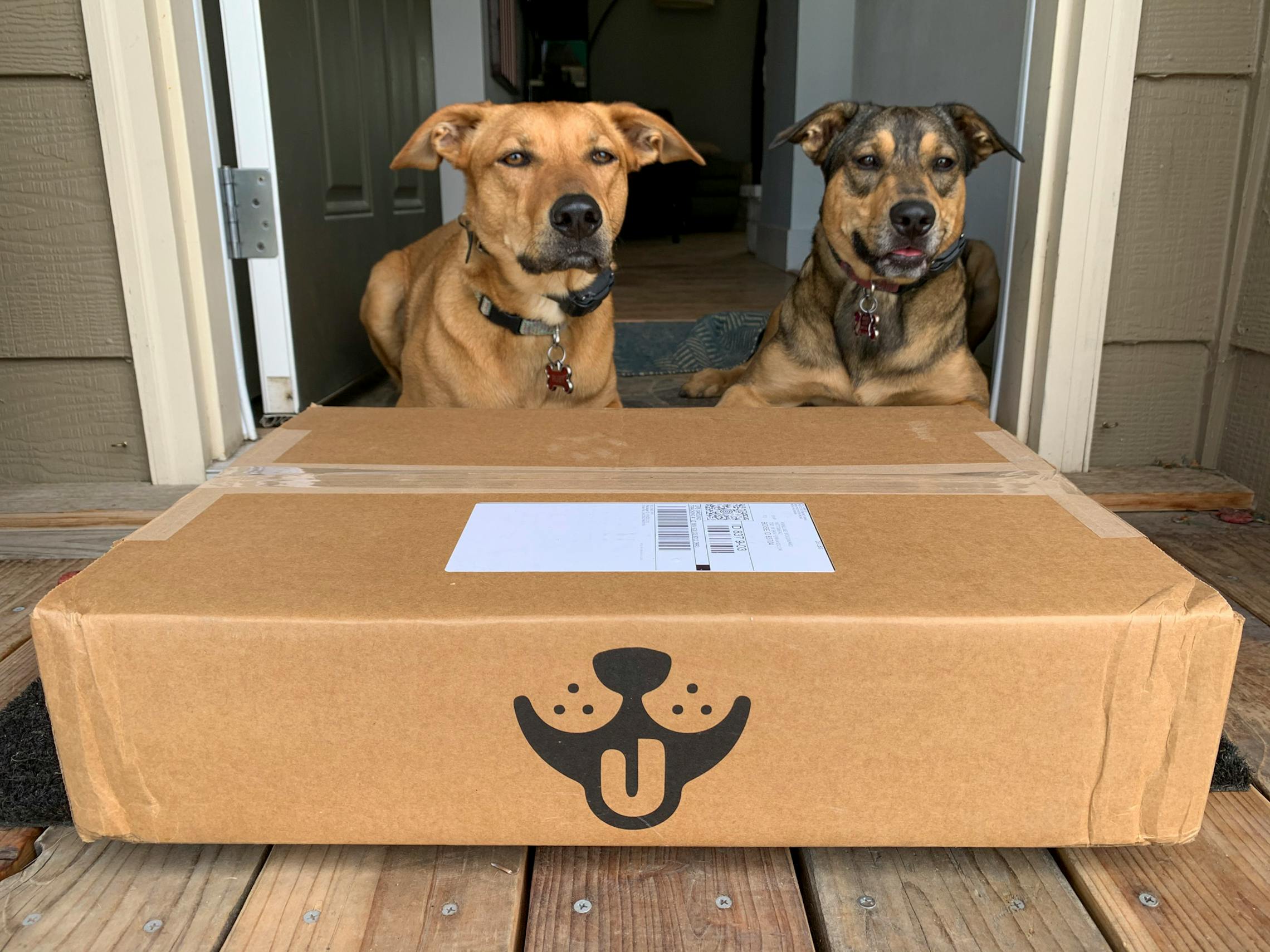Petco Delivery 2024 jacksonvillechristianacademy