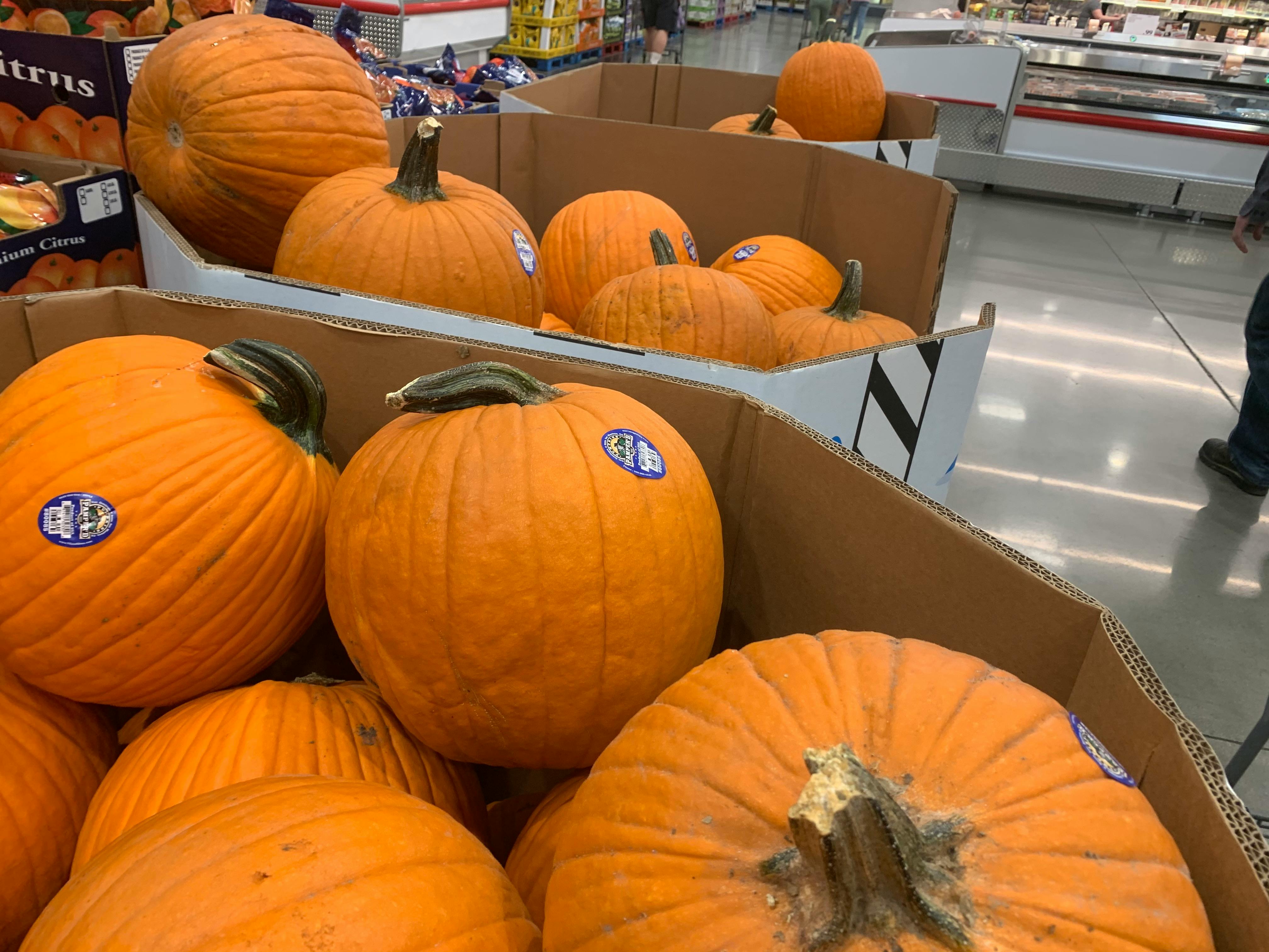 Here Are the Best Prices on Pumpkins (We Checked) - The Krazy Coupon Lady
