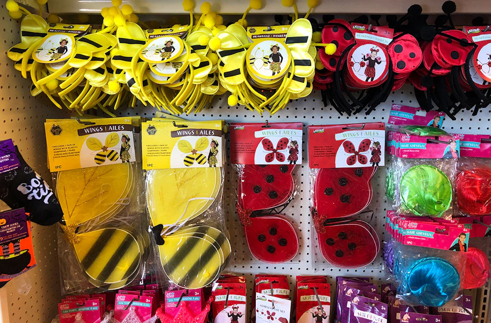9 DIY Halloween Costumes From Dollar Tree - The Krazy Coupon Lady
