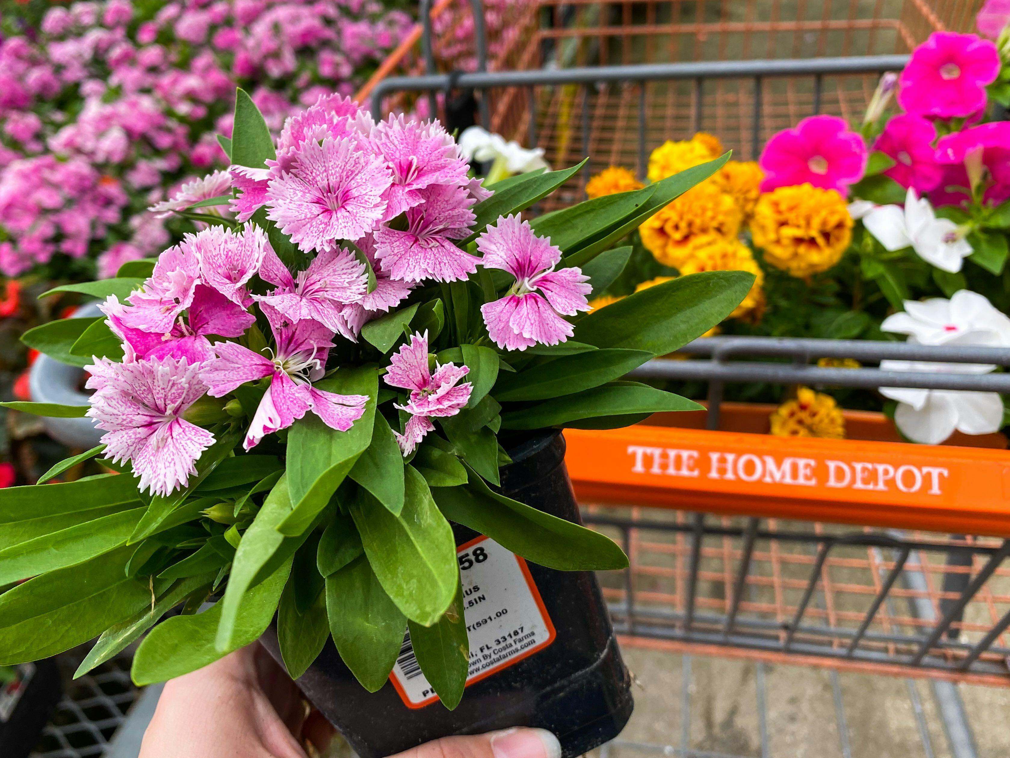 Best Home Depot Spring Black Friday 2023 Deals: What to Expect - The ...