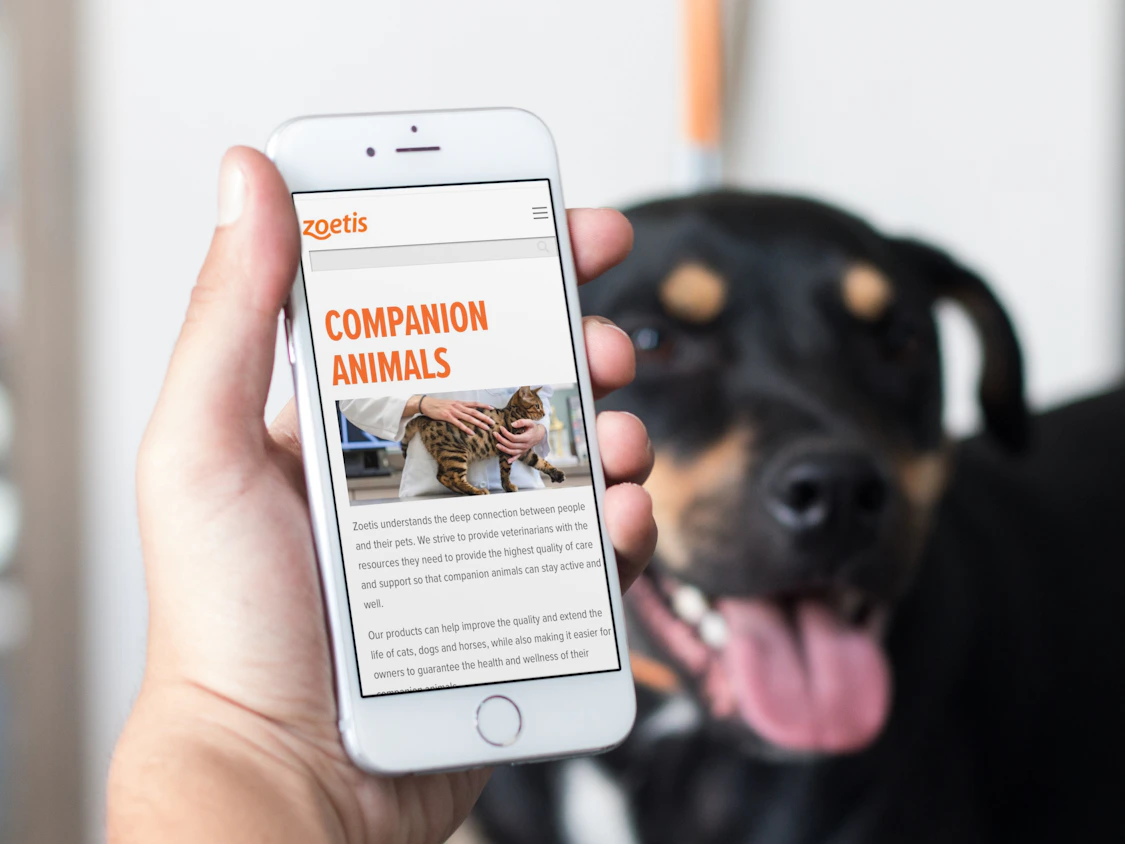 8 Best Pet Rewards & Loyalty Programs to Save Money - The Krazy Coupon Lady