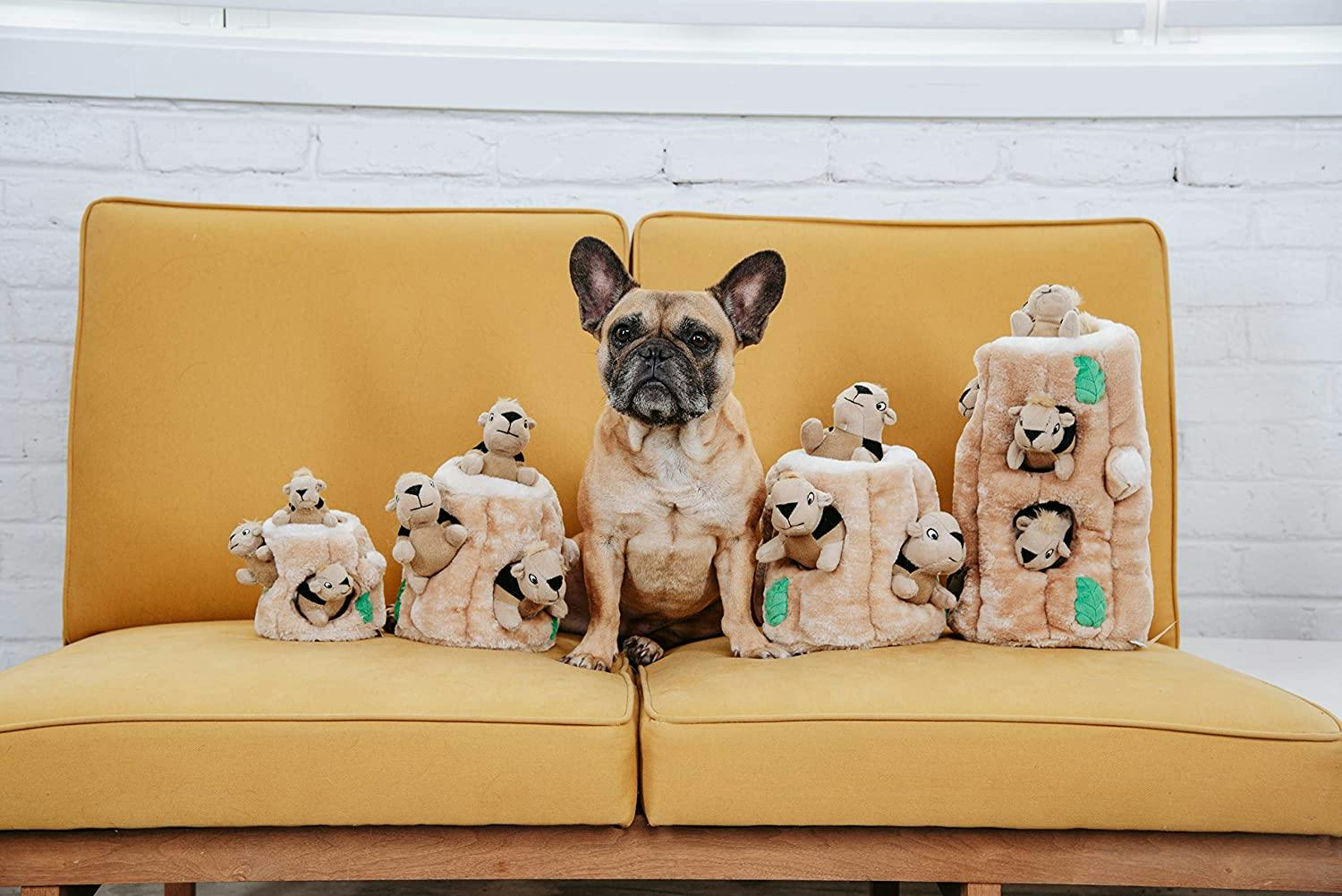 Best Free Food & Product Freebies for 2021 Graduates - The Krazy Coupon ...