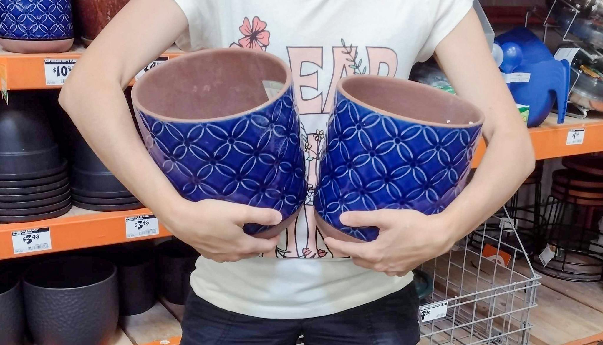 Fry's Coupons - The Krazy Coupon Lady - June 2022