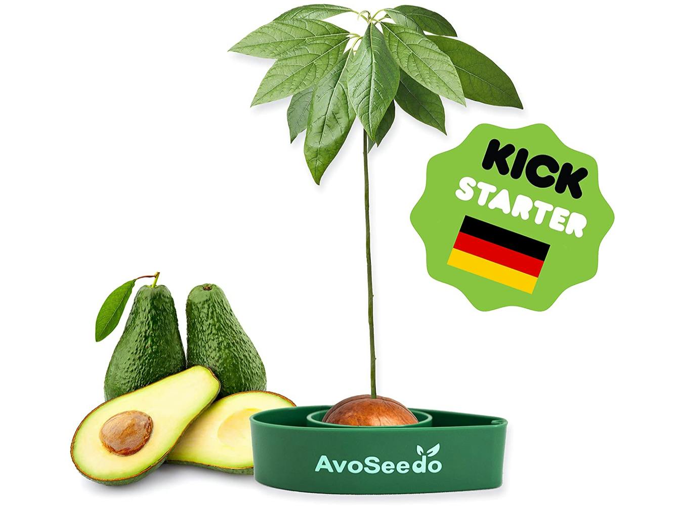 National Avocado Day 2022: 'Guac This Way' for Deals & Freebies - The ...