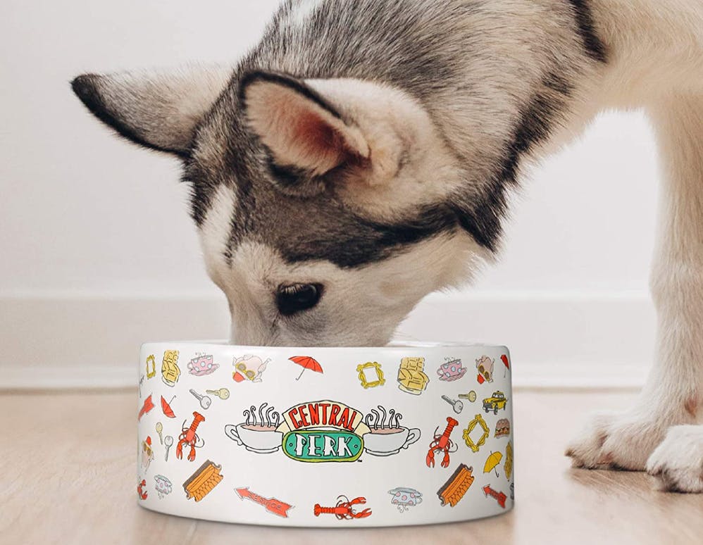 Amazon Announces First-Ever Amazon Pet Day 24-Hour Sale - The Krazy ...