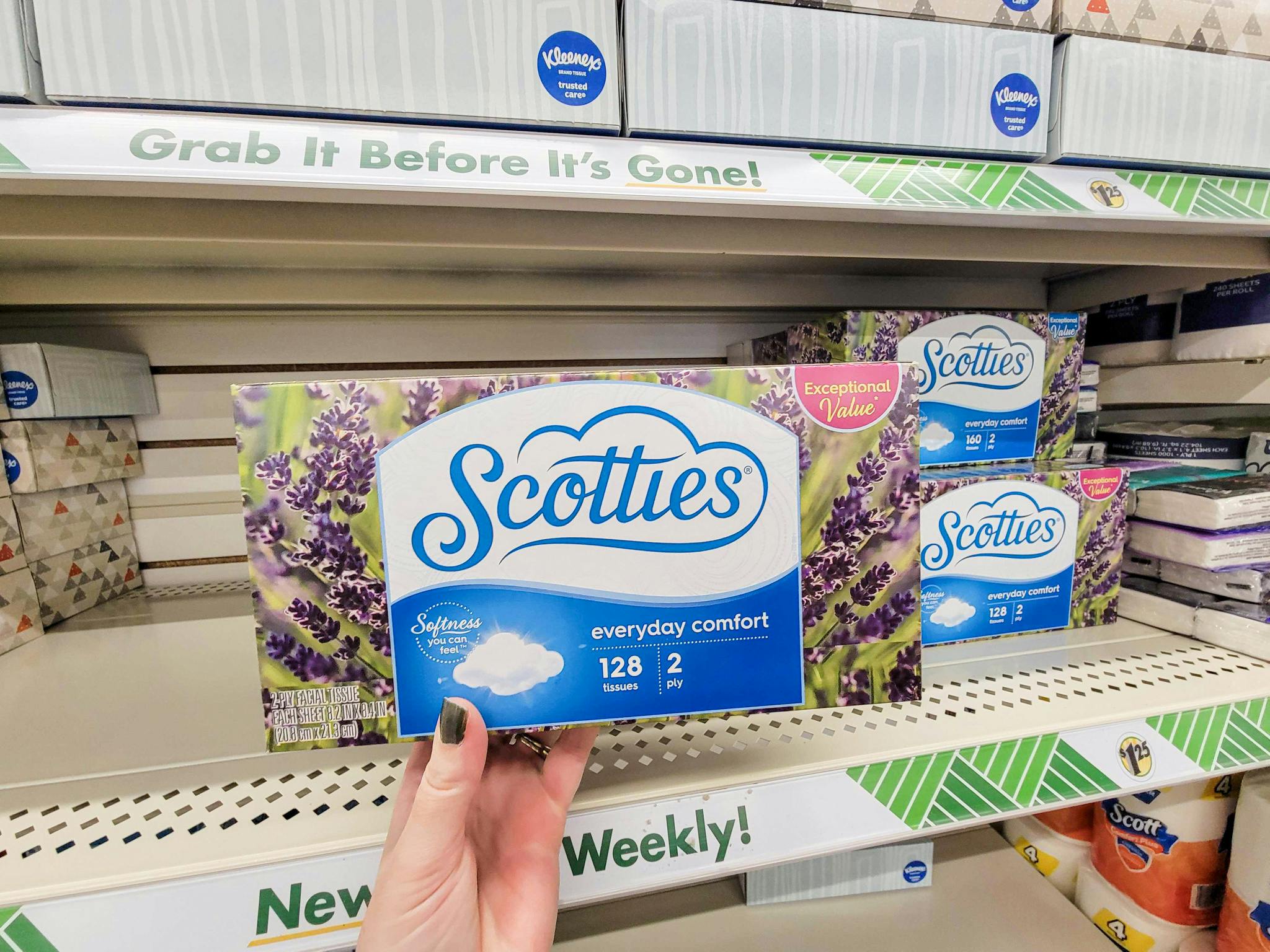 Dollar Tree Coupons - The Krazy Coupon Lady - August 2022