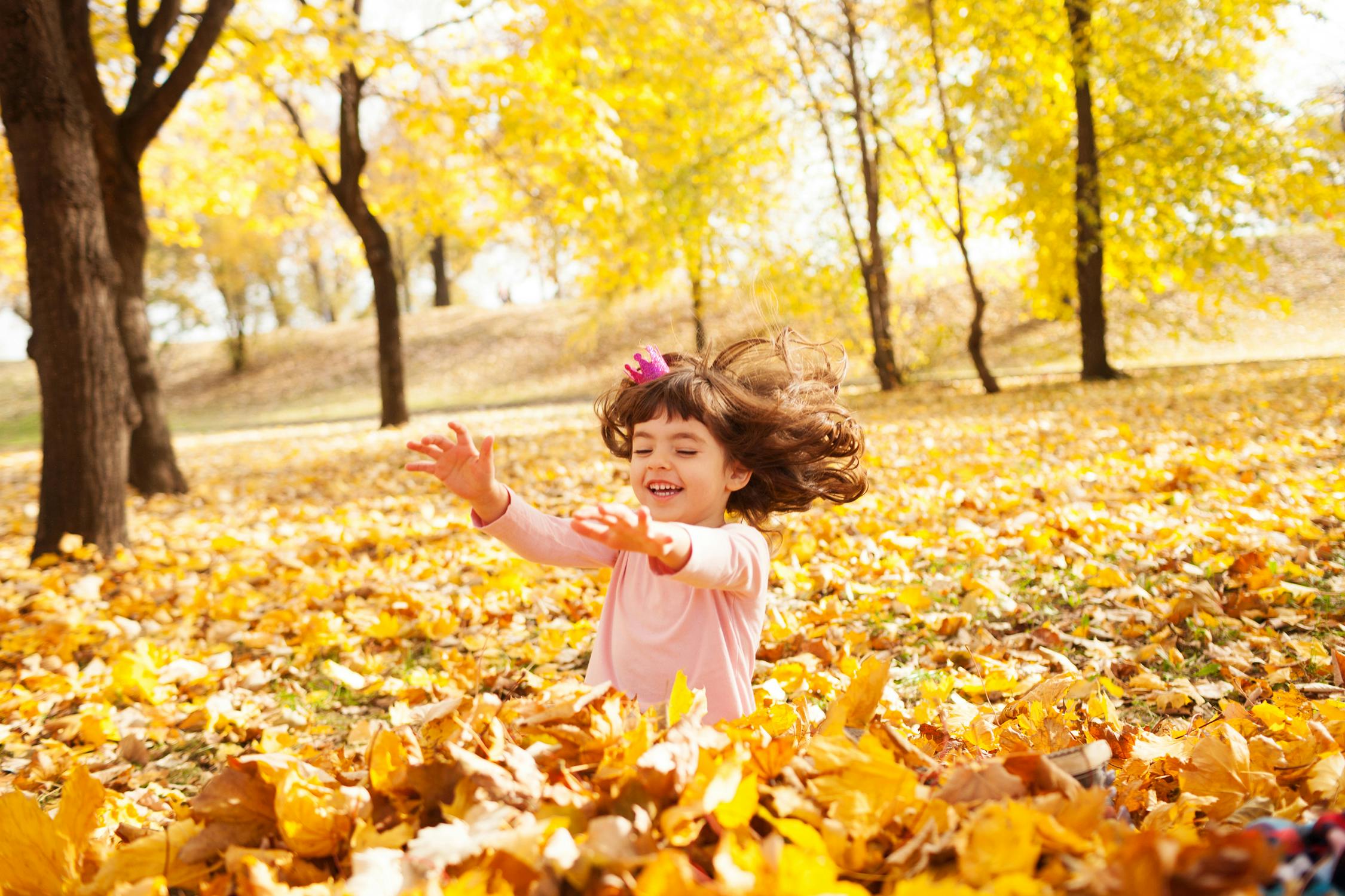 50 Fun and Free Fall Activities - The Krazy Coupon Lady