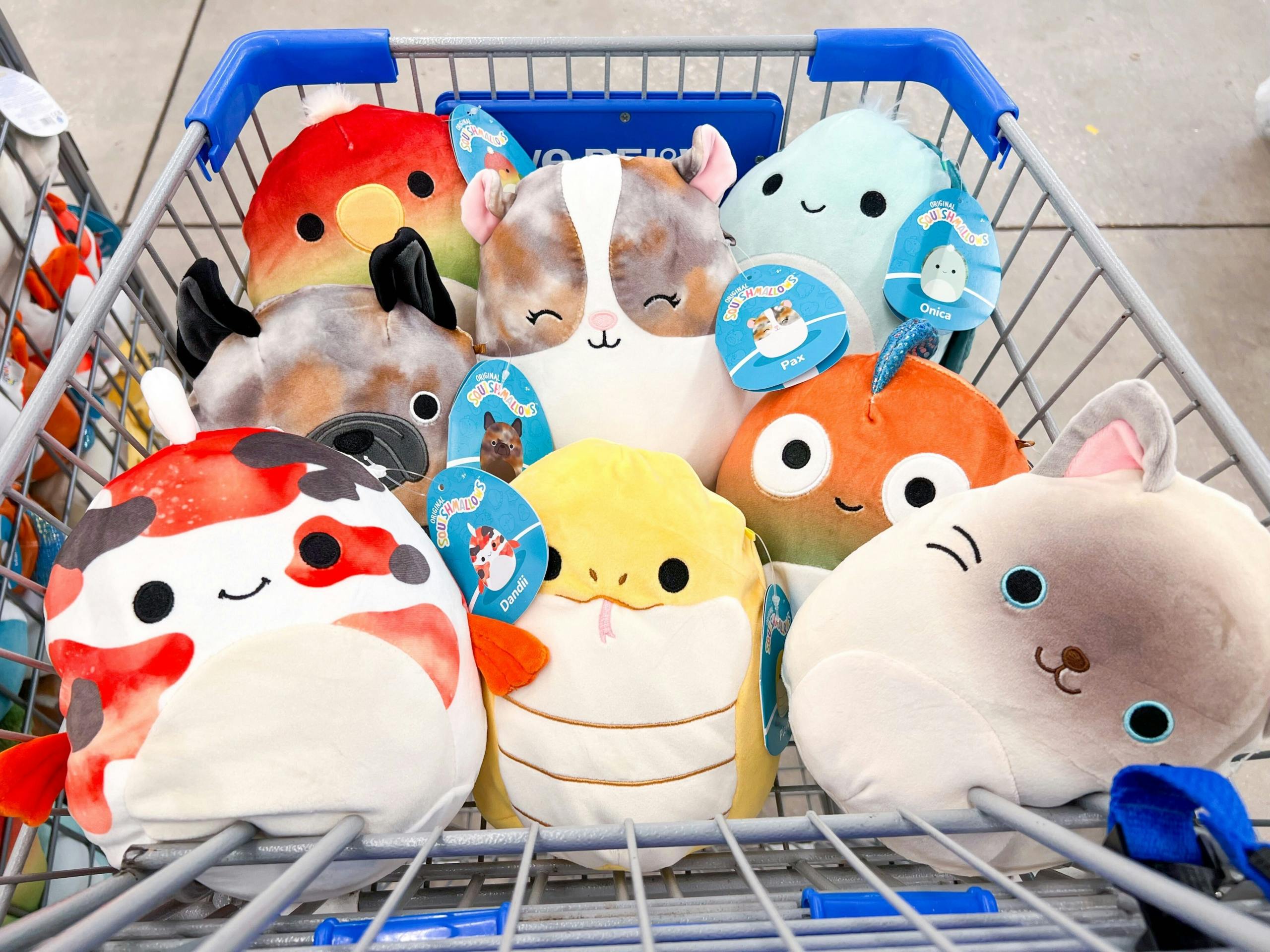 How to Shop the Five Below Squishmallow Drop - The Krazy Coupon Lady