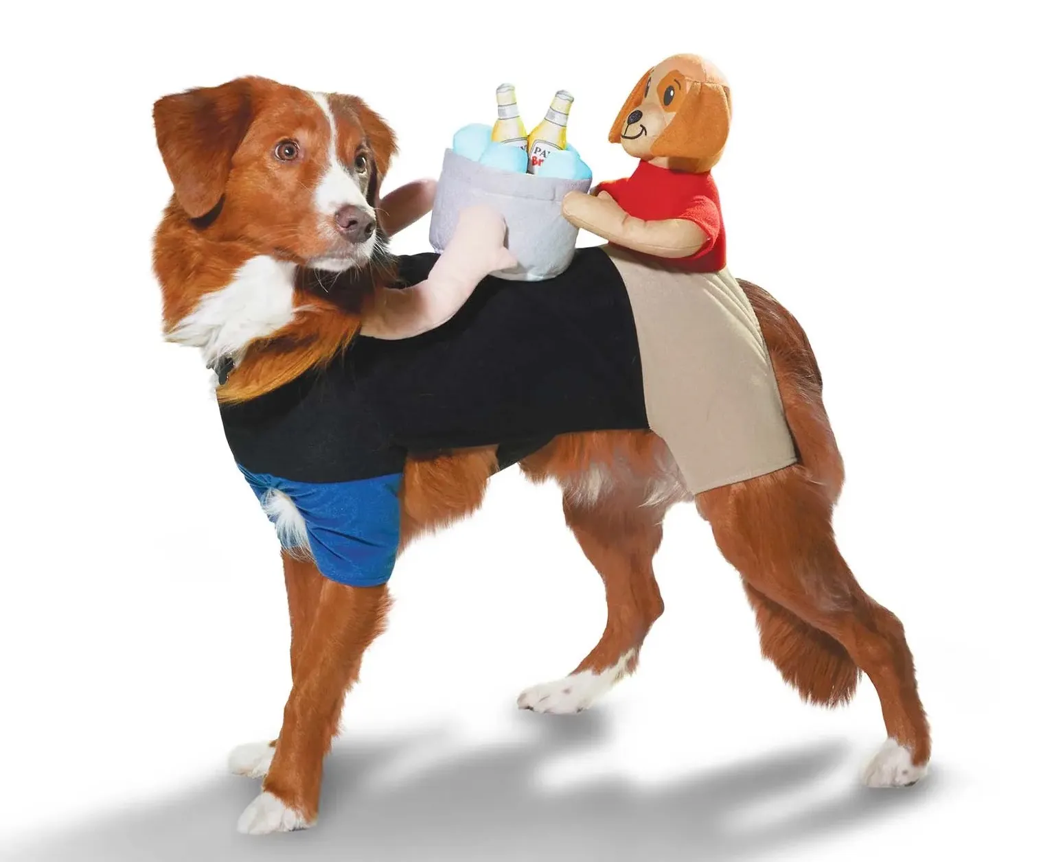 24 Cheap Dog Halloween Costumes That Cost $20 or Less - The Krazy ...