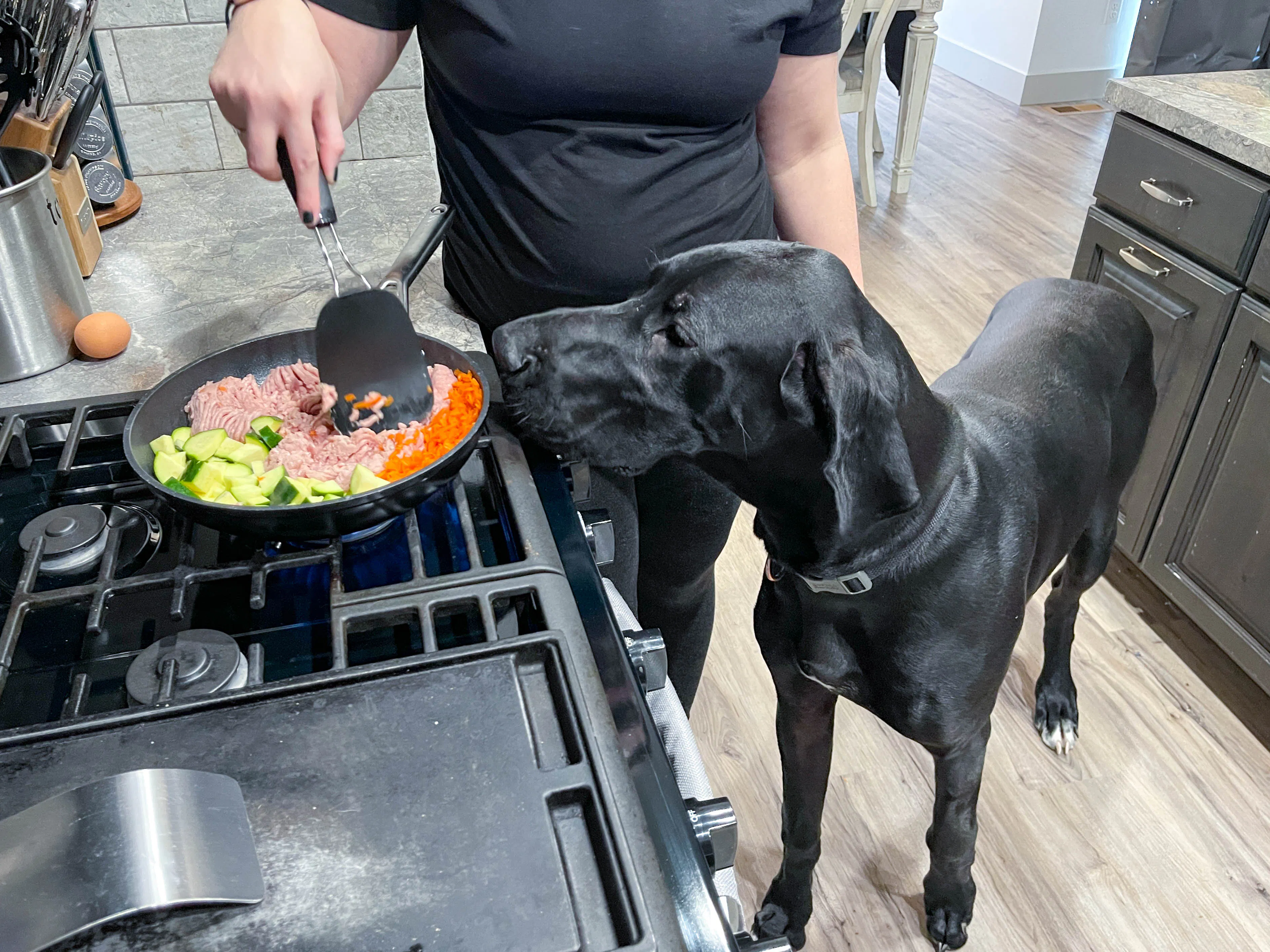 10 Homemade Dog Food Recipes - The Krazy Coupon Lady
