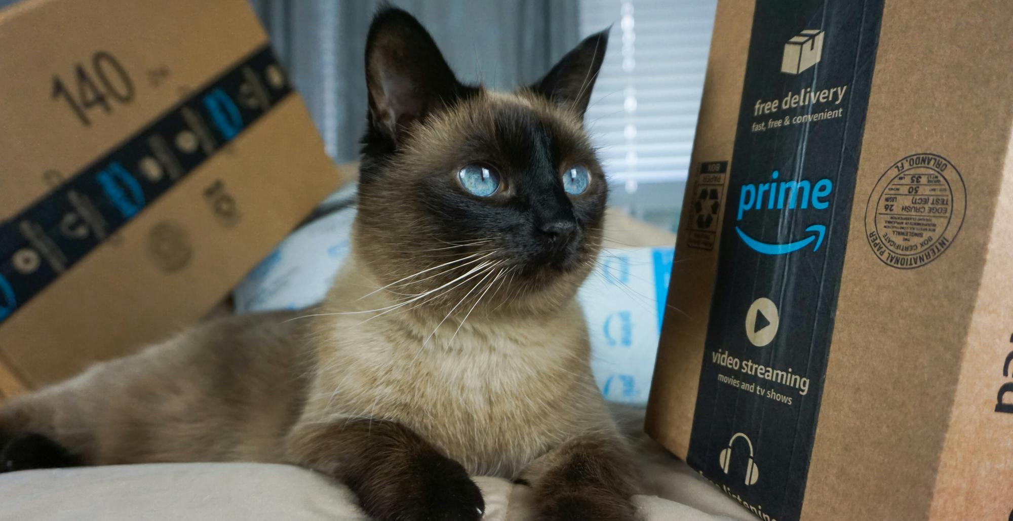 These Are the Best Amazon Pet Day Deals You Can Expect - The Krazy ...