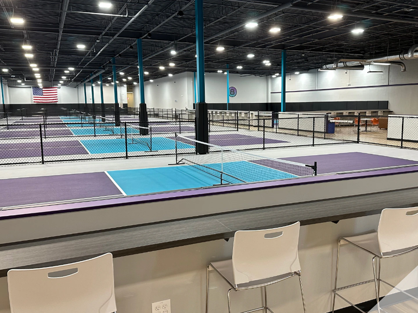 Now Coming to Your Mall: Pickleball (But is it Worth it?) - The Krazy ...