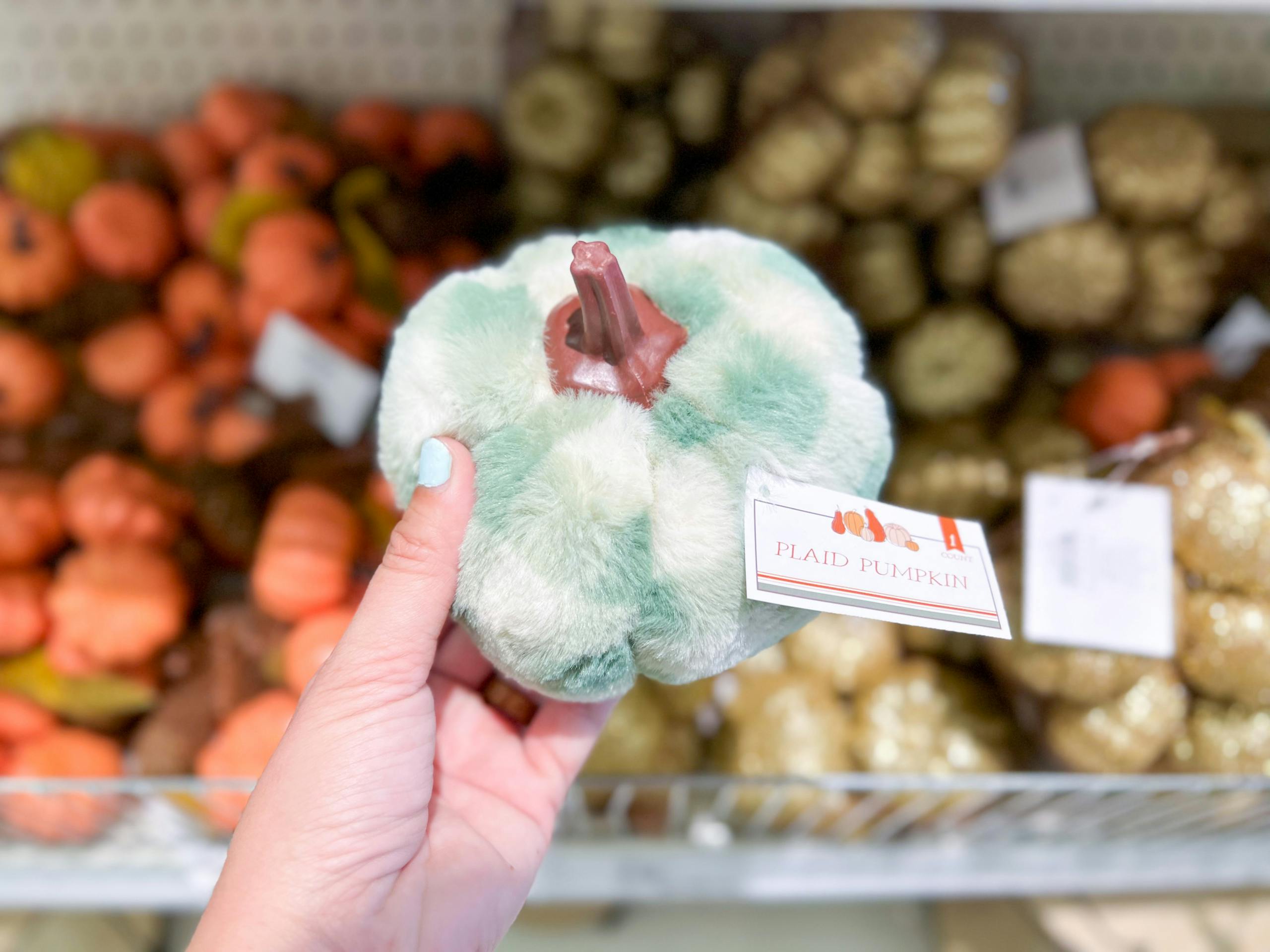 The Coolest Target Dollar Spot Finds in October 2023 - The Krazy Coupon ...